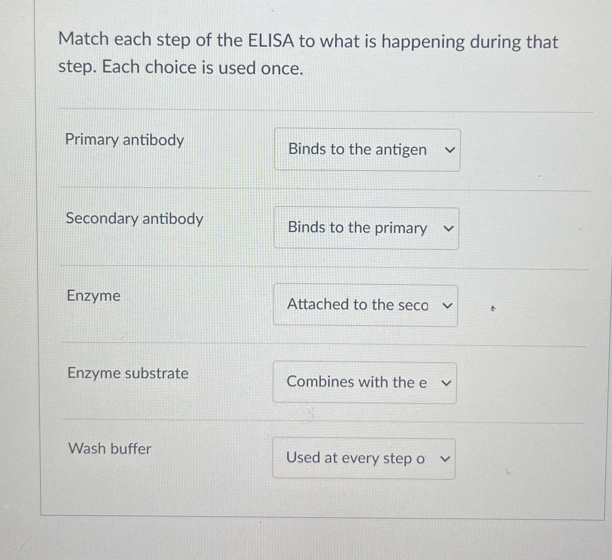 Solved Match each step of the ELISA to what is happening | Chegg.com