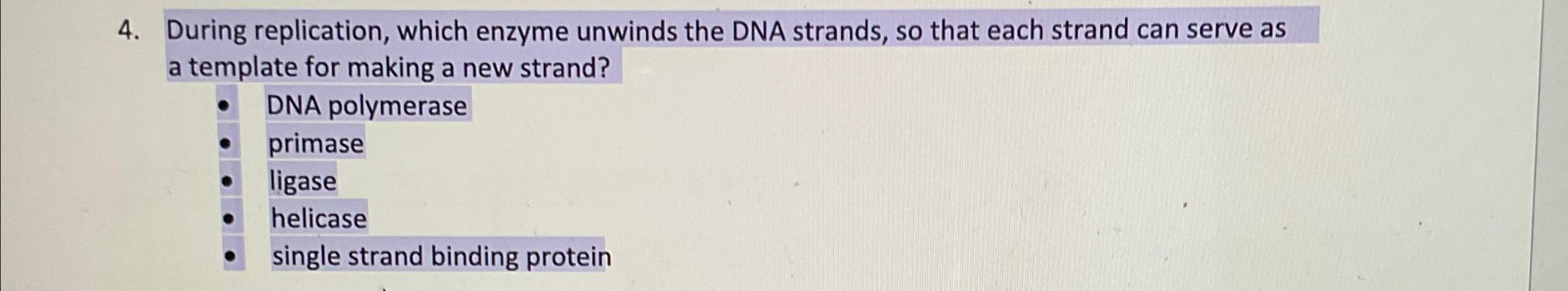Solved During replication, which enzyme unwinds the DNA | Chegg.com