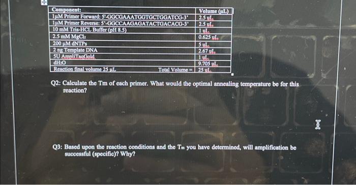 Solved Q2: Calculate the Tm of each primer. What would the | Chegg.com