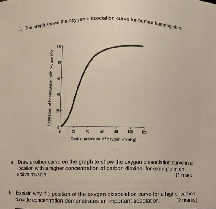 Solved 5. The graph shows the oxygen dissociation curve for | Chegg.com