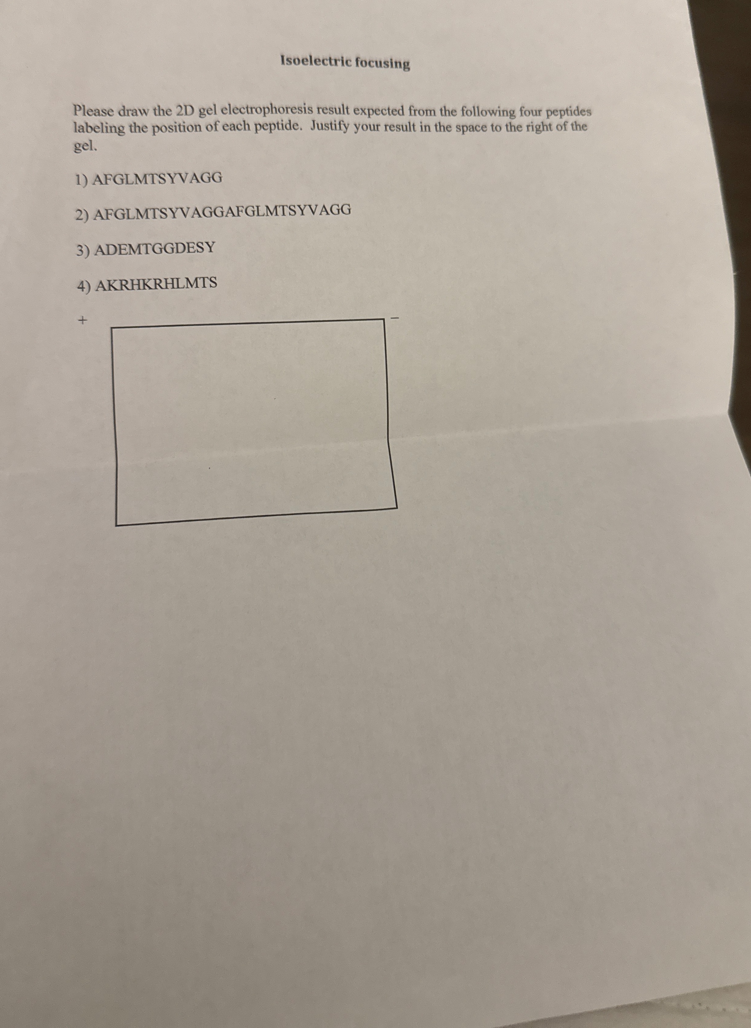 Solved Isoelectric focusingPlease draw the 2D gel | Chegg.com