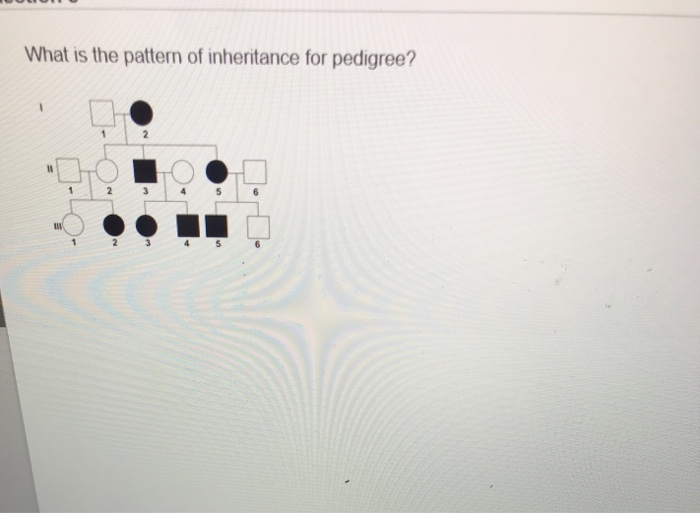 Solved Two people with polydactyly (extra fingers and/or | Chegg.com