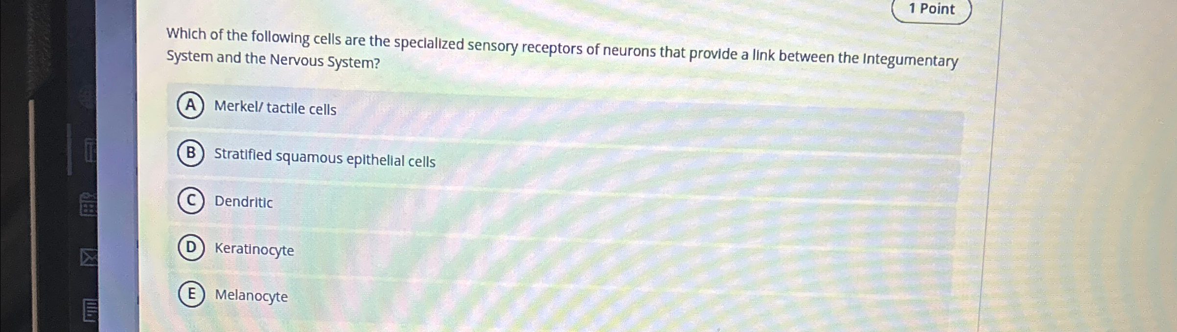 Solved 1 ﻿PointWhich of the following cells are the | Chegg.com