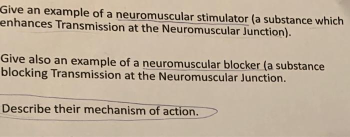 Solved Give an example of a neuromuscular stimulator (a | Chegg.com