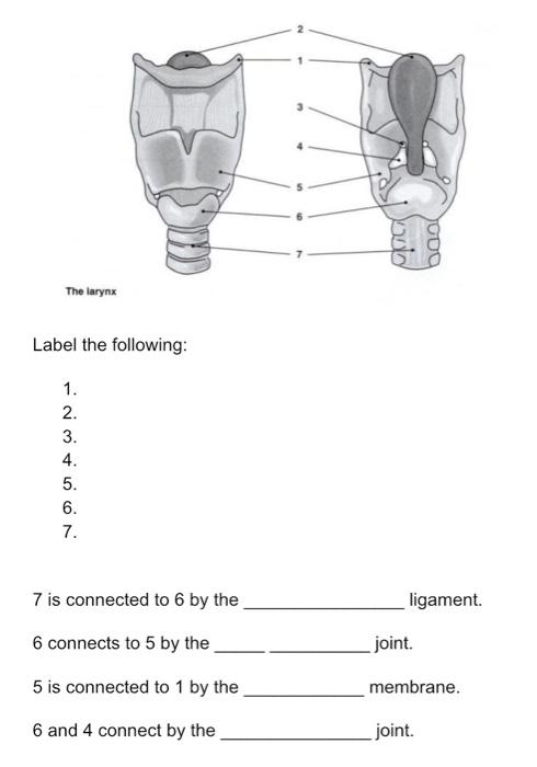 Solved TODO 7 The larynx Label the following: 1. 2. 3. 4. 5. | Chegg.com