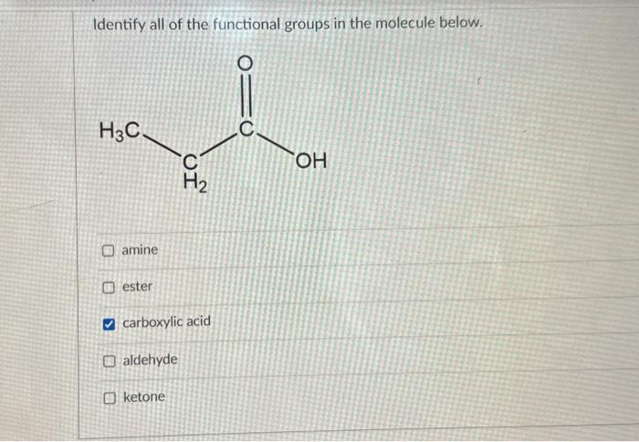 Solved Identify all of the functional groups in the molecule | Chegg.com