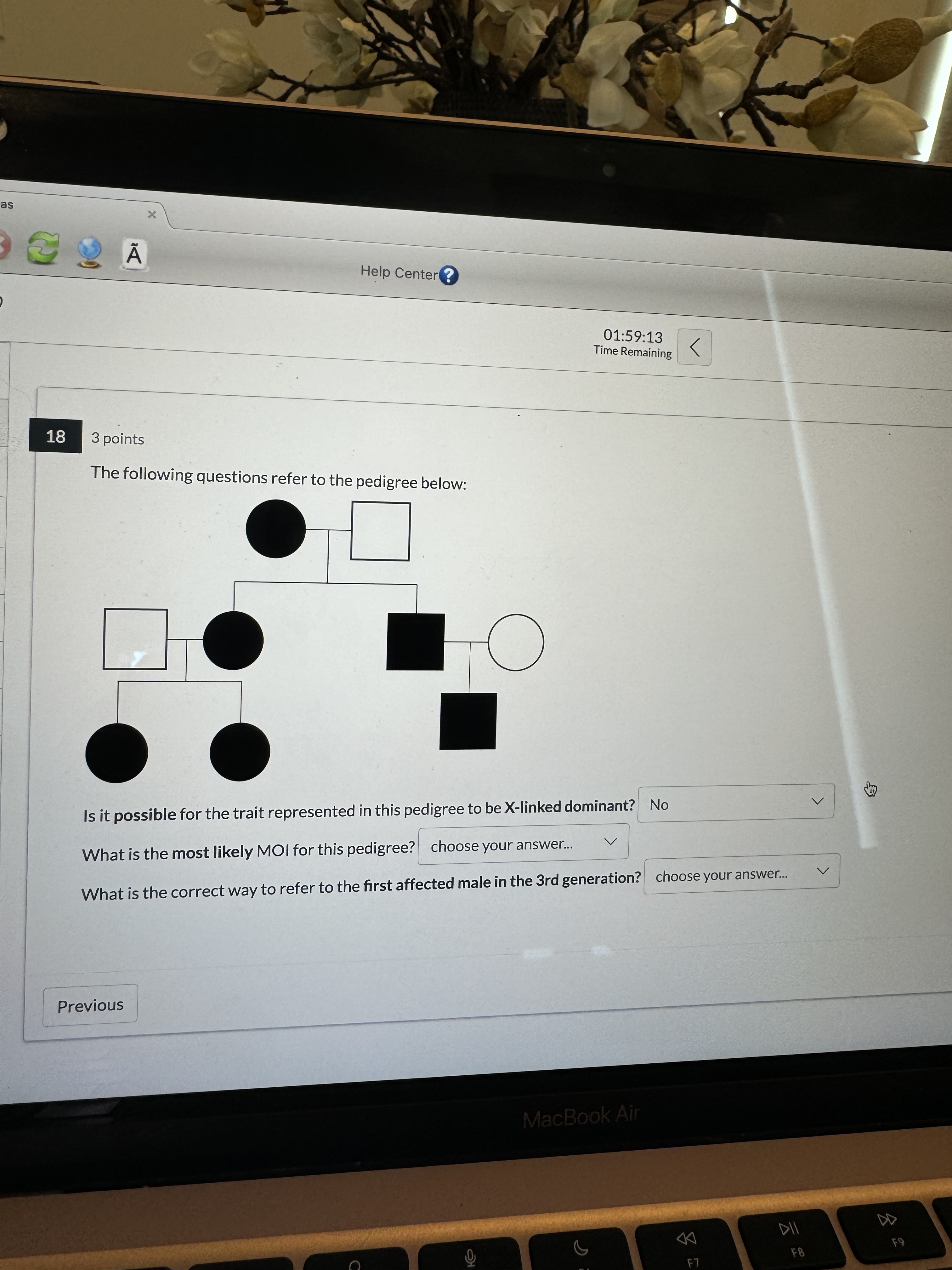 Solved The following questions refer to the pedigree | Chegg.com