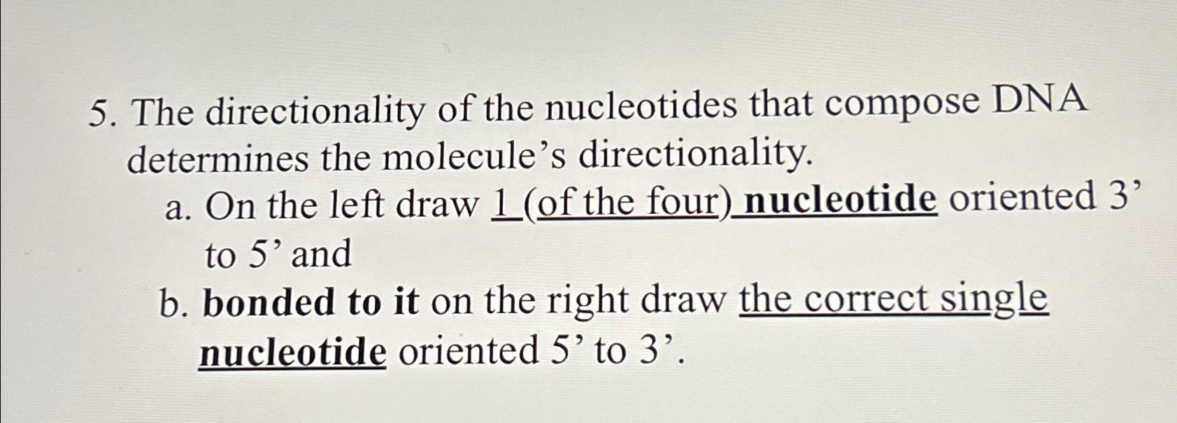 Solved The directionality of the nucleotides that compose | Chegg.com