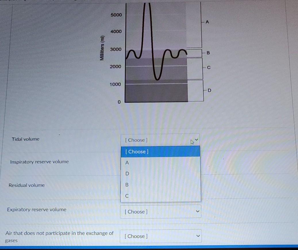 Solved 5000 4000 Milliliters (ml) 3000 B 2000 с 1000 D 0 | Chegg.com