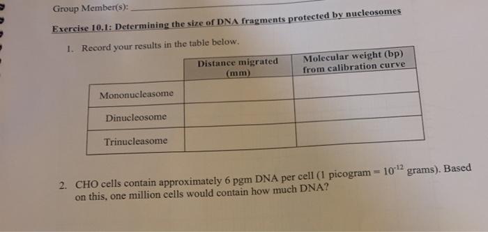 Group Member(s): Exercise 10.1: Determining the size | Chegg.com