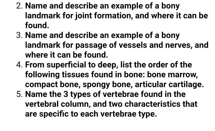Solved 2. Name and describe an example of a bony landmark | Chegg.com
