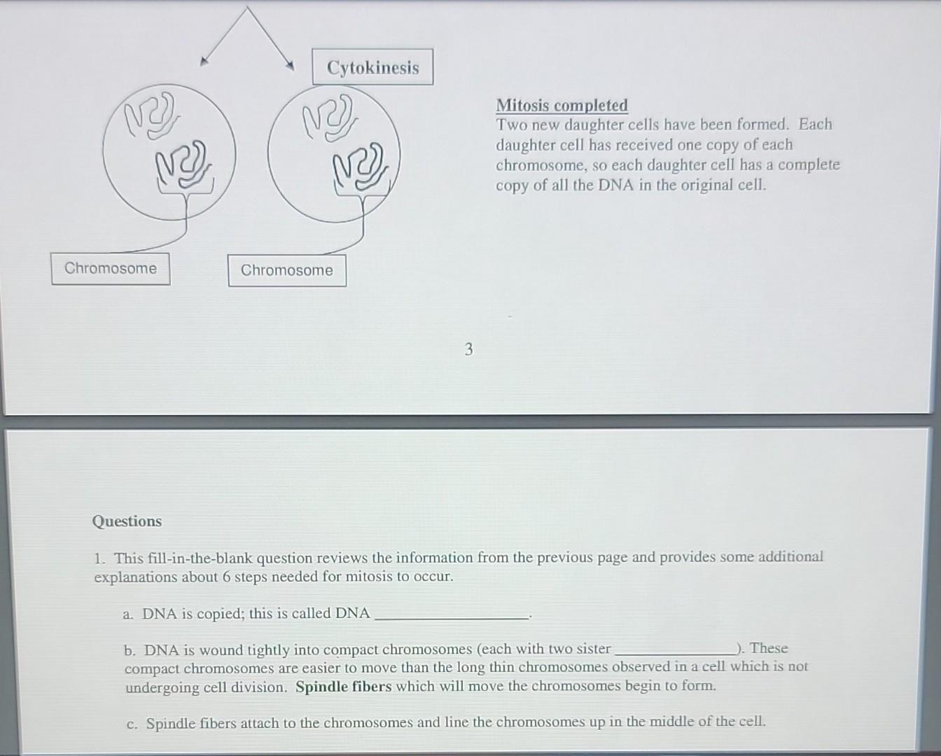 Solved Mitosis -- How Each Daughter Cell Gets a Complete Set | Chegg.com