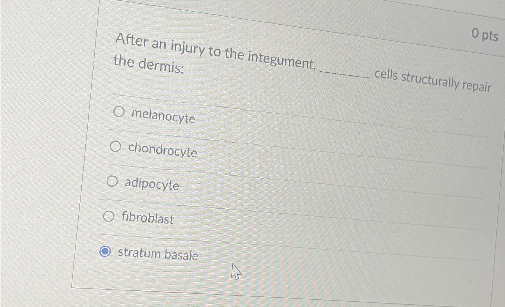 Solved After an injury to the integument, the dermis: cells | Chegg.com