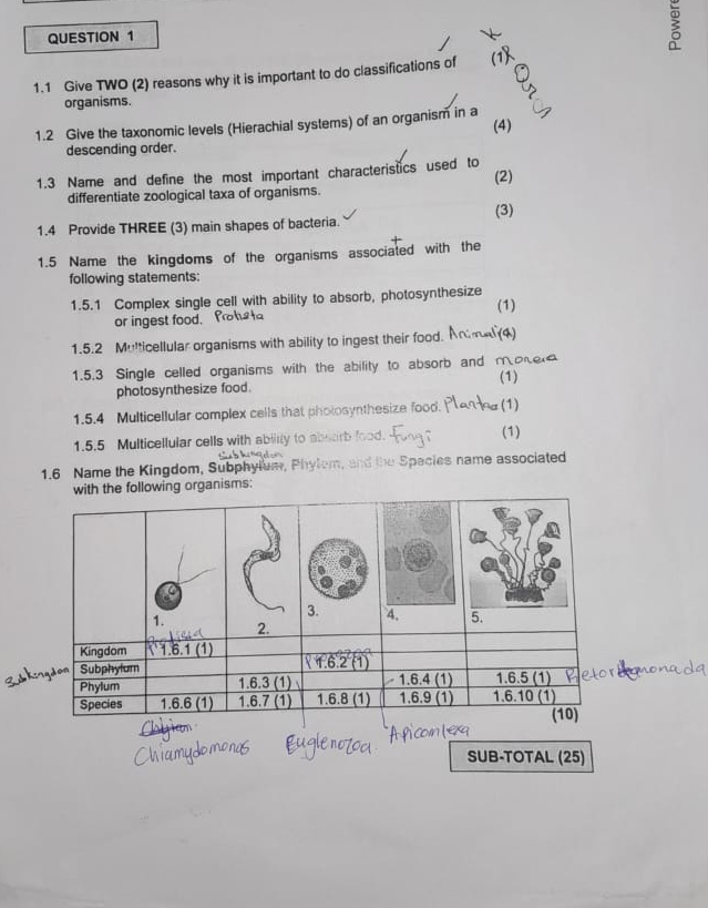 Solved 1.1 ﻿Give TWO (2) ﻿reasons why it is important to do | Chegg.com