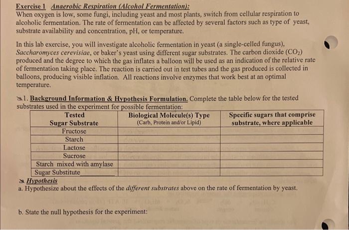 Solved Exercise 1 Anaerobic Respiration (Alcohol | Chegg.com