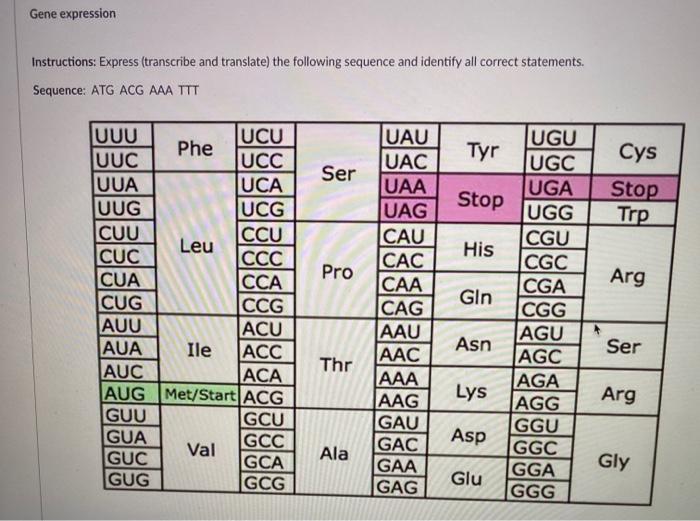Solved Gene expression Instructions: Express (transcribe and | Chegg.com Solved Gene expression Instructions: Express (transcribe and | Chegg.com
