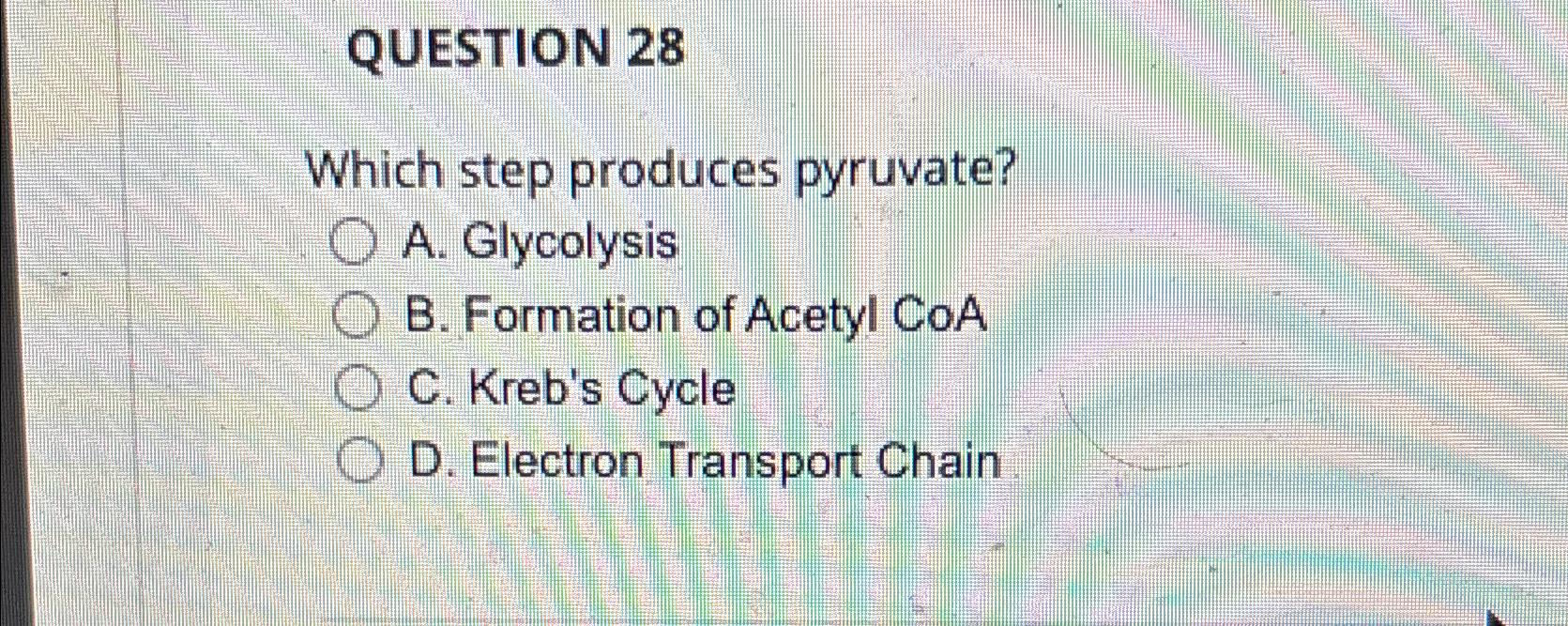 Solved QUESTION 28Which step produces pyruvate?A. | Chegg.com