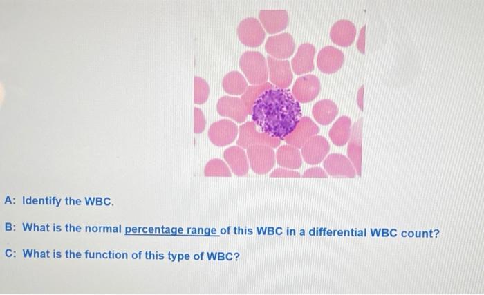 Solved A: Identify the WBC. B: What is the normal percentage | Chegg.com