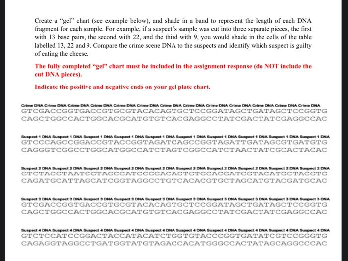 DNA Analysis: You will need to physically cut the DNA | Chegg.com