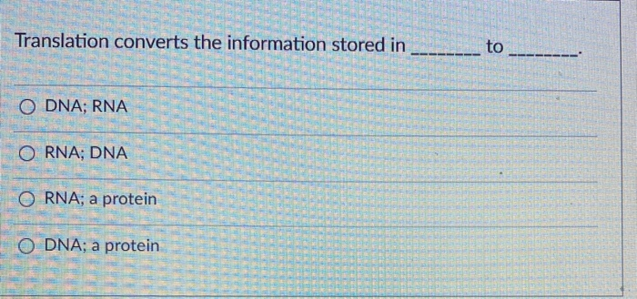 Solved Translation converts the information stored in to | Chegg.com