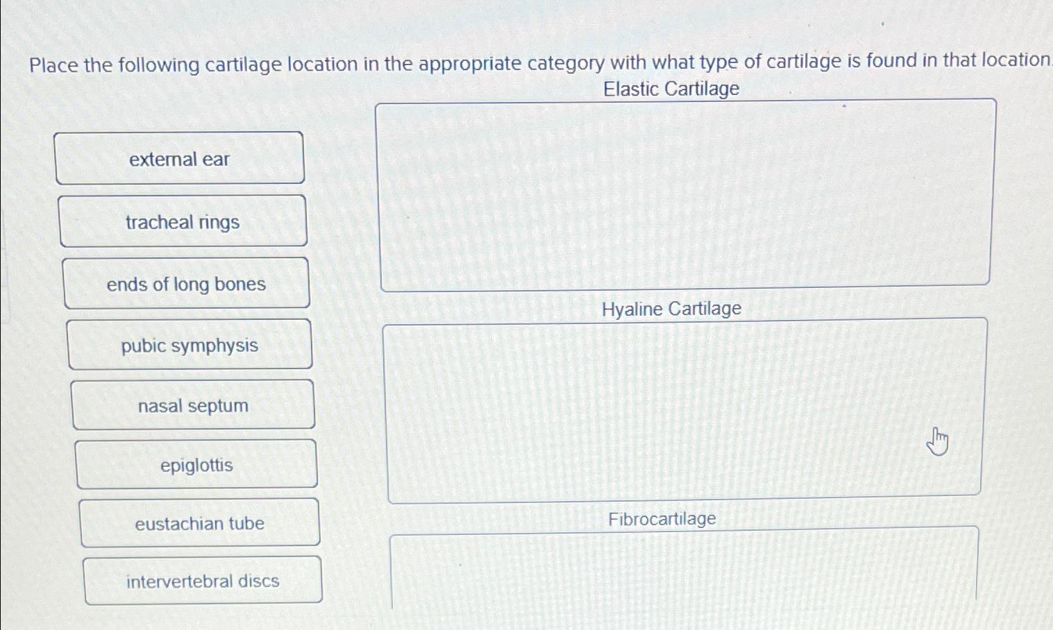 Solved Place the following cartilage location in the | Chegg.com