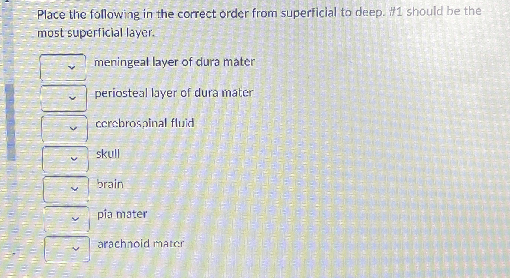 Solved Place the following in the correct order from | Chegg.com