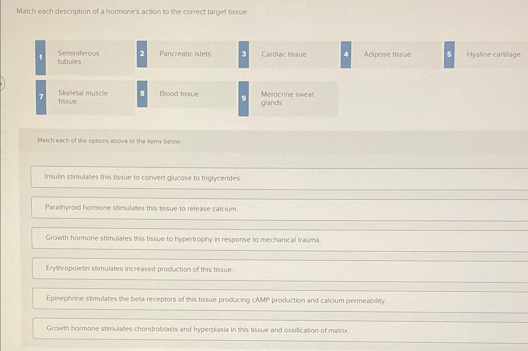 Solved Match each description of a hormone's action to the | Chegg.com