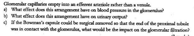Solved Glomerular capillaries empty into an efferent | Chegg.com