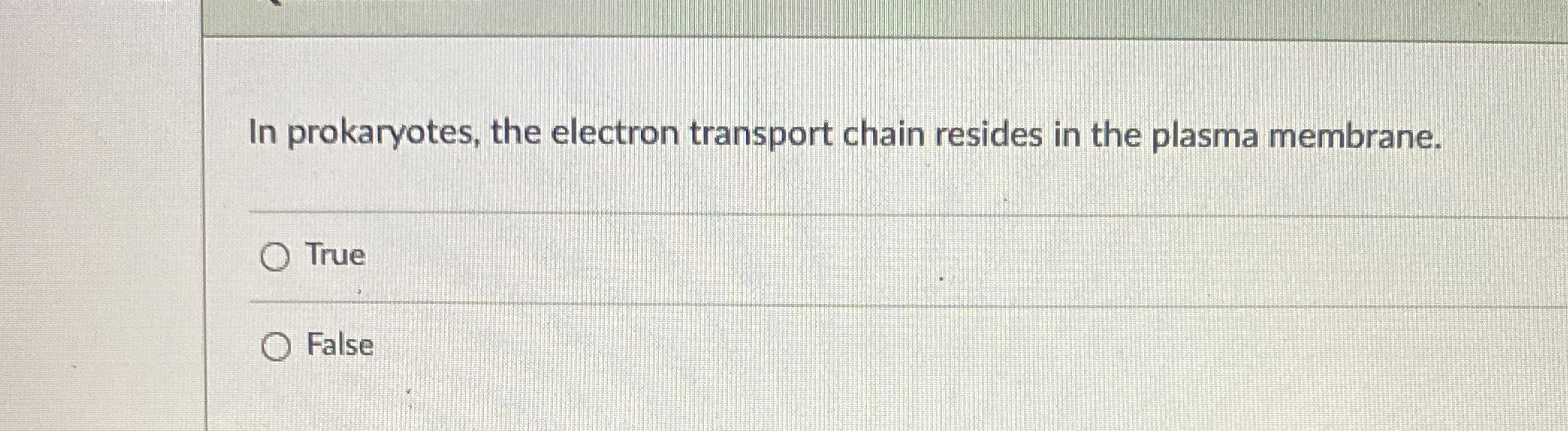 Solved In prokaryotes, the electron transport chain resides | Chegg.com