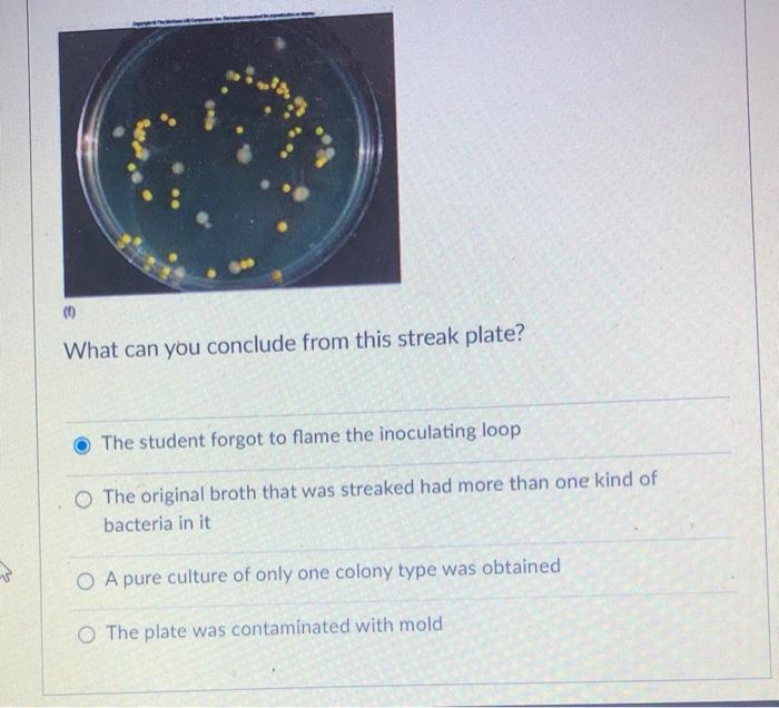 What can you conclude from this streak plate? The | Chegg.com