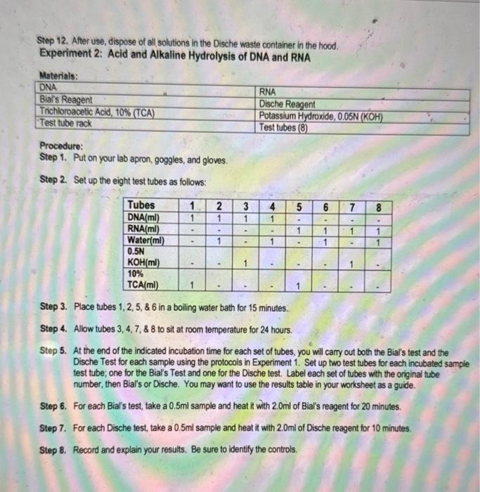 Solved Pre-Lab Set Up \& To make up the Biars and Dische | Chegg.com