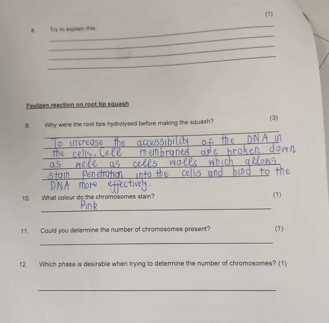 Solved (1)8. ﻿Ty to explain this. q,q,q,Feulgen reaction on | Chegg.com