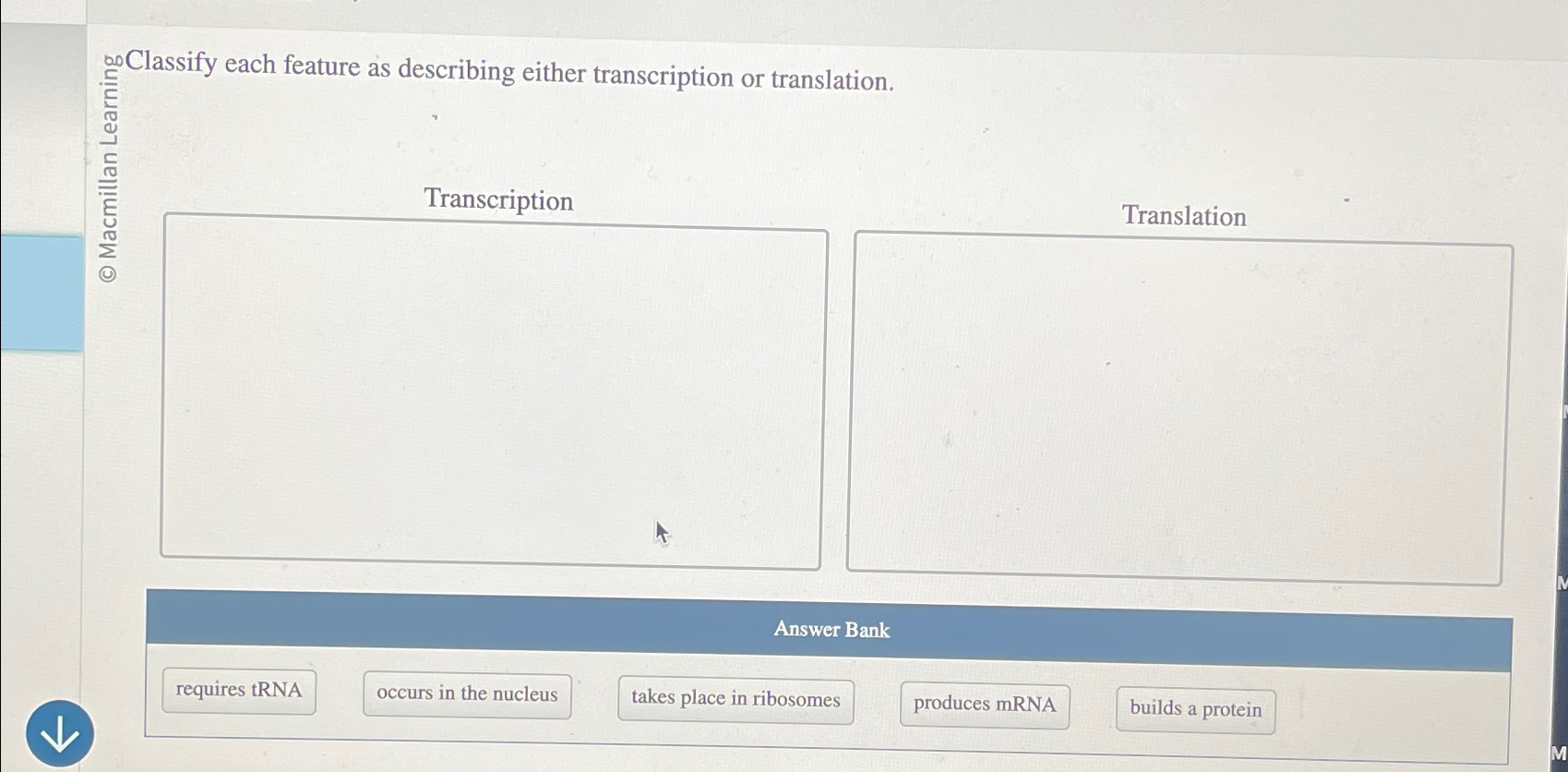 Solved . C ﻿Classify each feature as describing either | Chegg.com