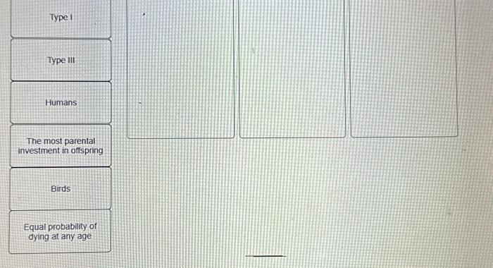 Solved Age Drag and drop each label to the box that | Chegg.com