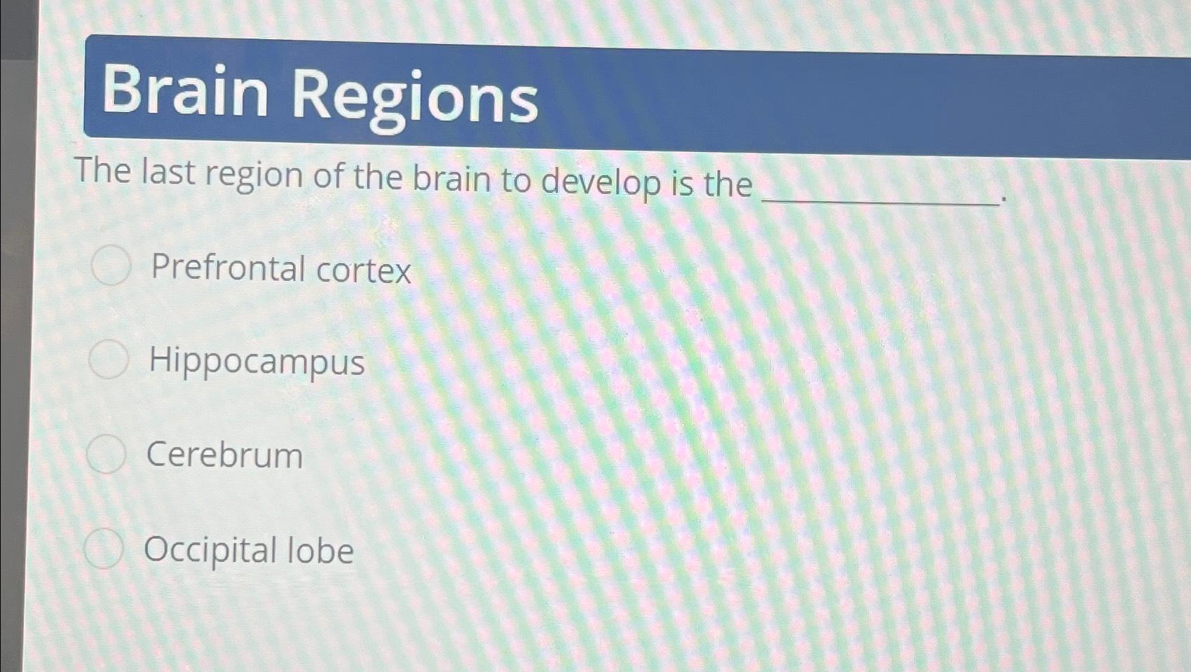 Solved Brain RegionsThe last region of the brain to develop | Chegg.com