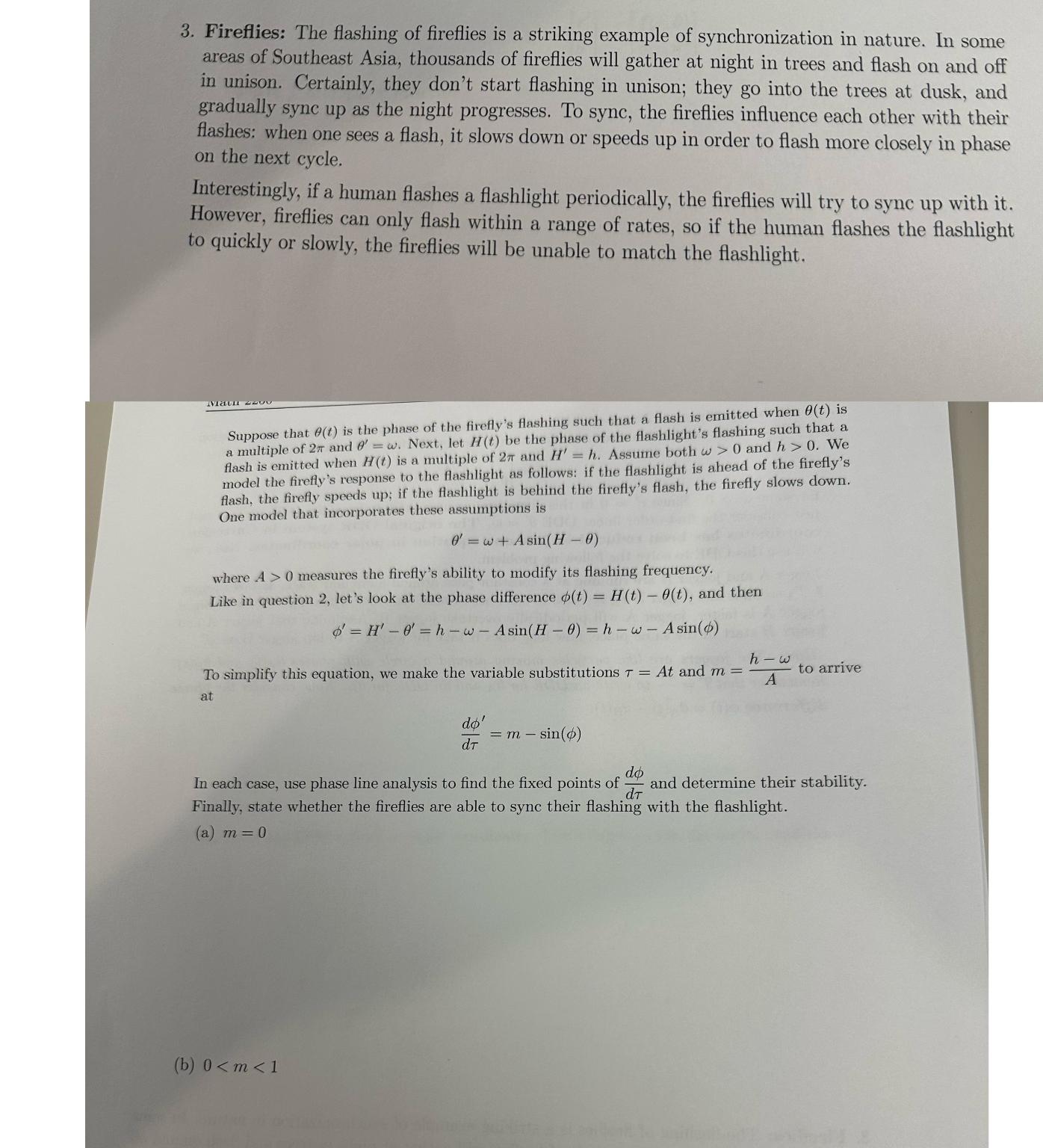 Solved Fireflies: The flashing of fireflies is a striking | Chegg.com