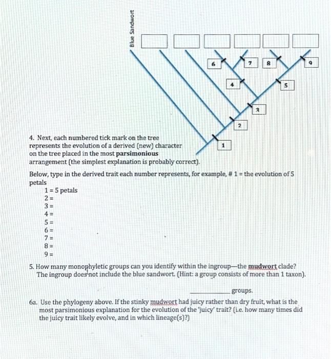 Solved 1. Constructing phylogenies is a basic technique used | Chegg.com