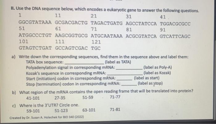 Solved 1. Use the DNA sequence below, which encodes a | Chegg.com