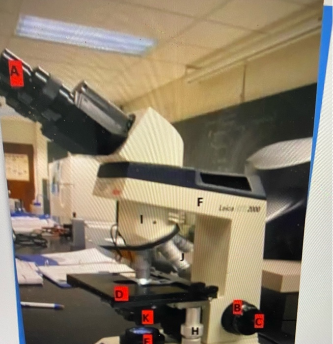 Solved The Compound Microscope: Practice Quiz Matching: | Chegg.com