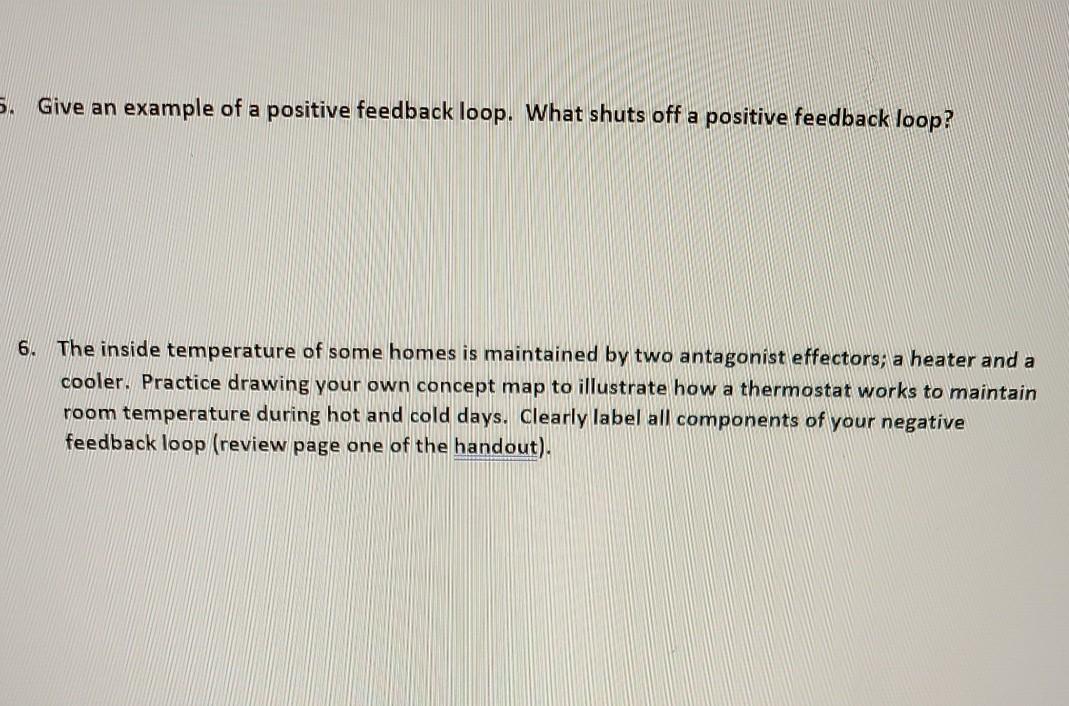 Solved 5. Give an example of a positive feedback loop. What | Chegg.com