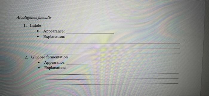 Solved Alcaligenes faecalis 1. Indole Appearance: | Chegg.com