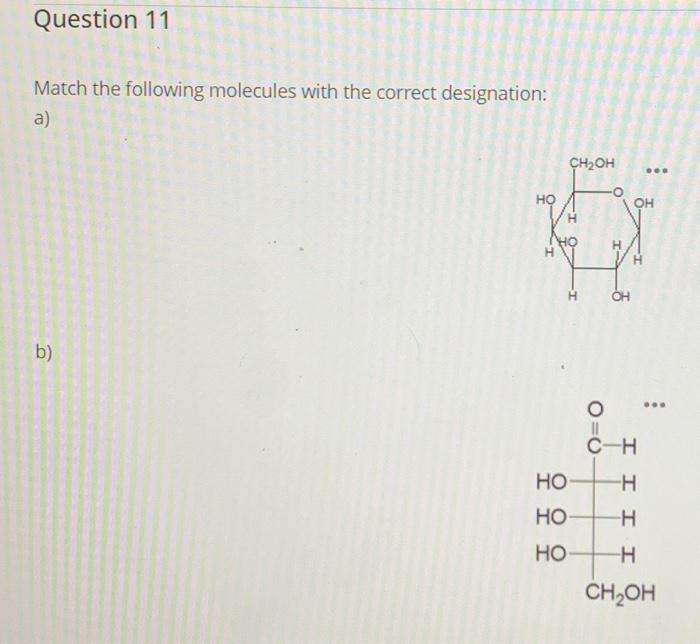 Solved Match the following molecules with the correct | Chegg.com