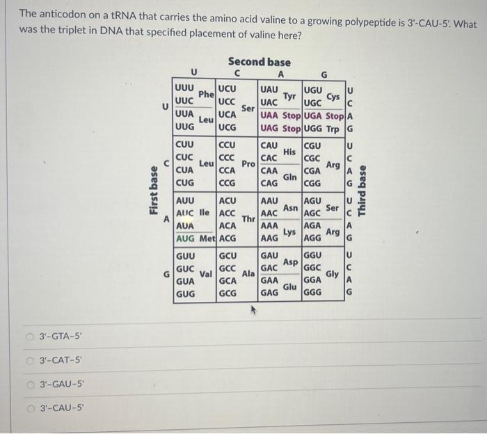 Solved The anticodon on a tRNA that carries the amino acid | Chegg.com