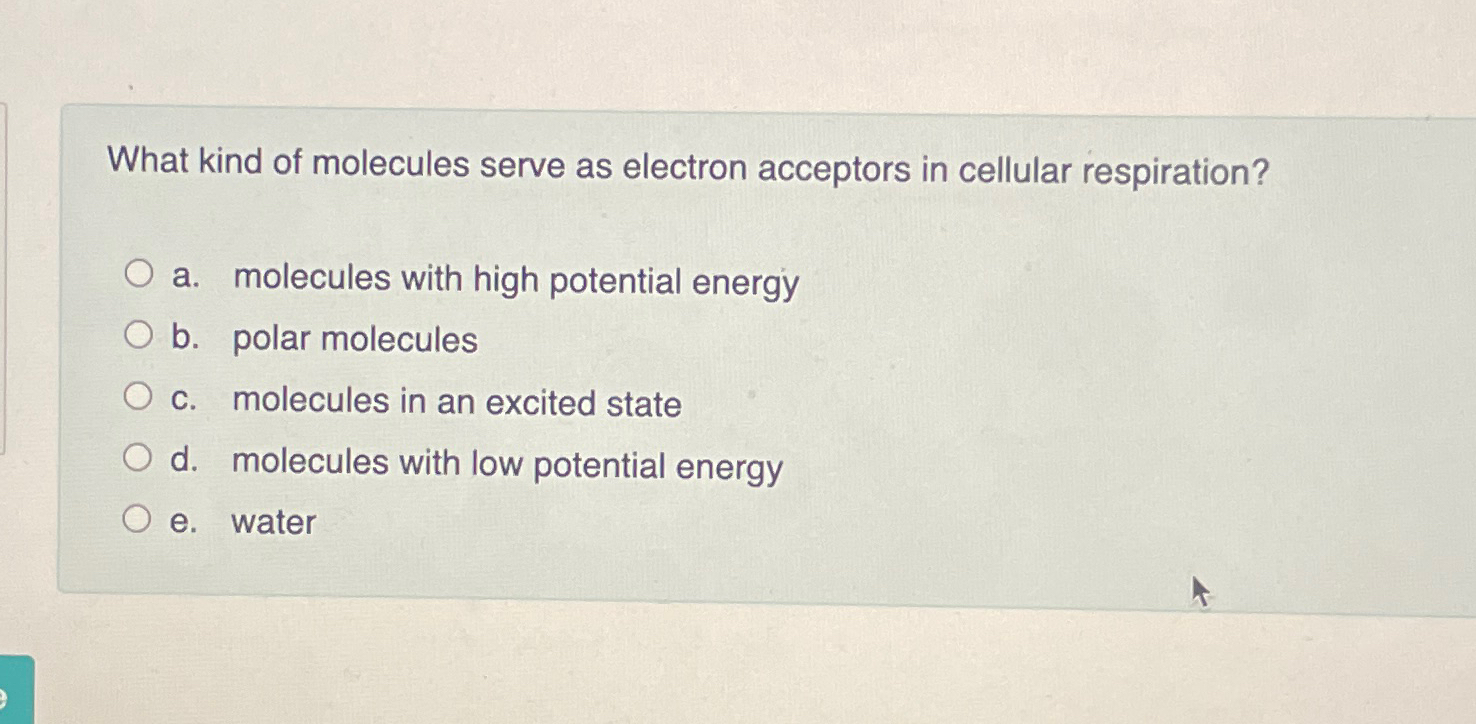 Solved What Kind Of Molecules Serve As Electron Acceptors In