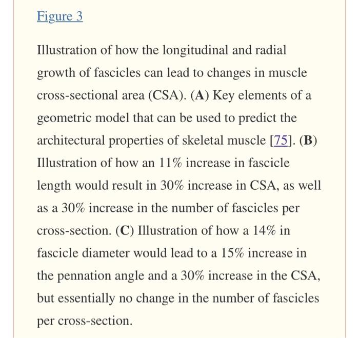 Solved Below is an image alongside a picture of the | Chegg.com