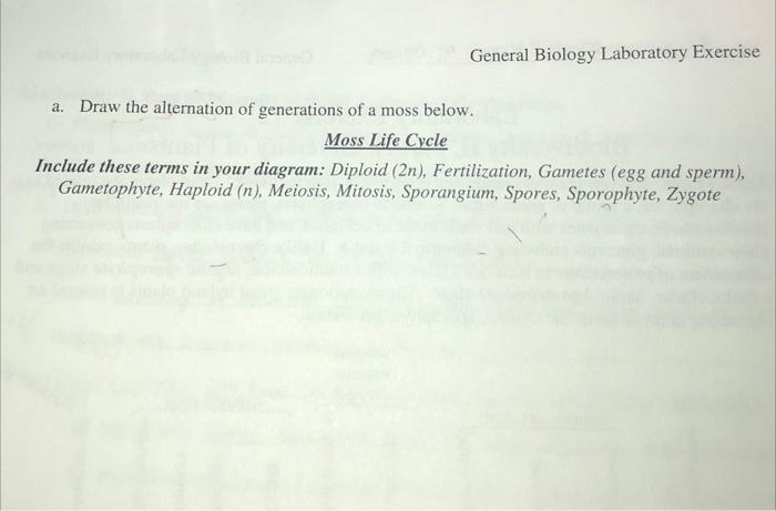 Solved General Biology Laboratory Exercise a. Draw the | Chegg.com