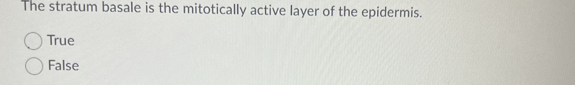 Solved The stratum basale is the mitotically active layer of | Chegg.com