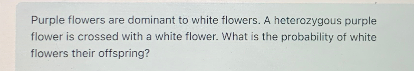 Solved Purple Flowers Are Dominant To White Flowers A Chegg