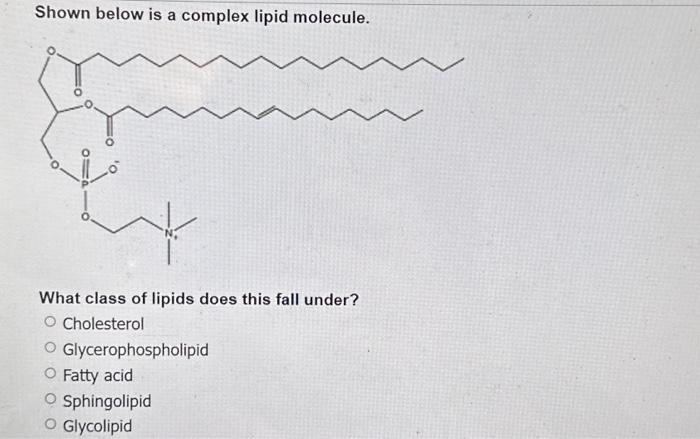 Solved Shown below is a complex lipid molecule. What class | Chegg.com