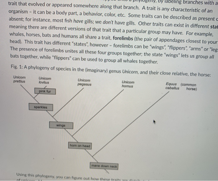 Solved 1) What is a shared derived trait of the genus | Chegg.com